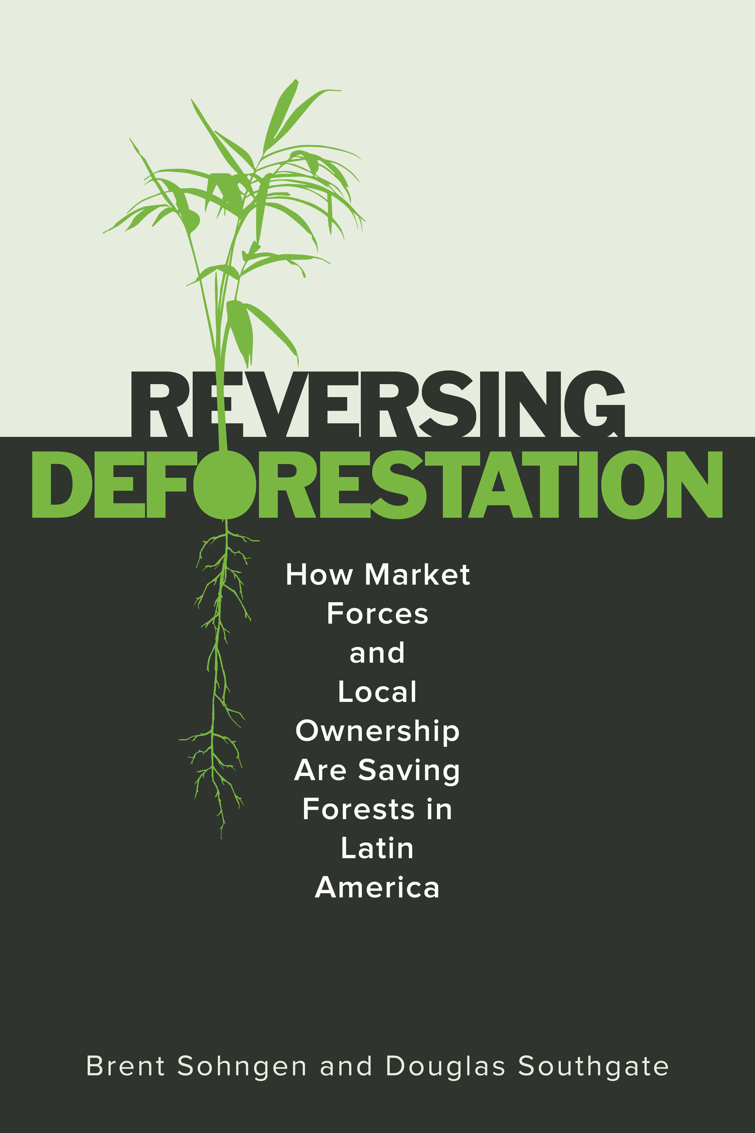 Reversing Deforestation | Stanford University Press